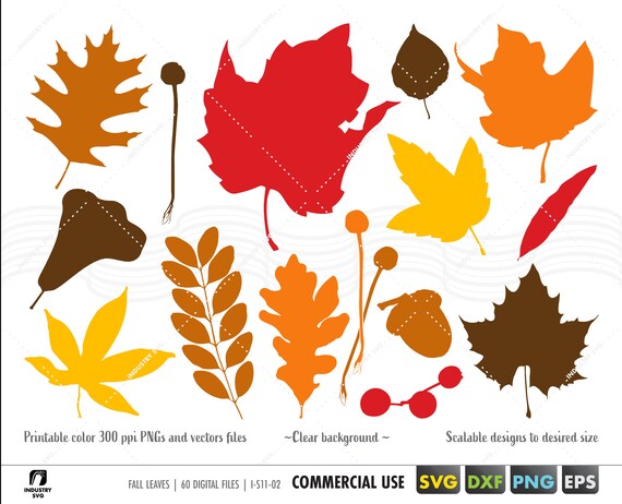 Fall Leaves Svg Fall Autum Bundle Svg Thanksgiving Svg - Etsy