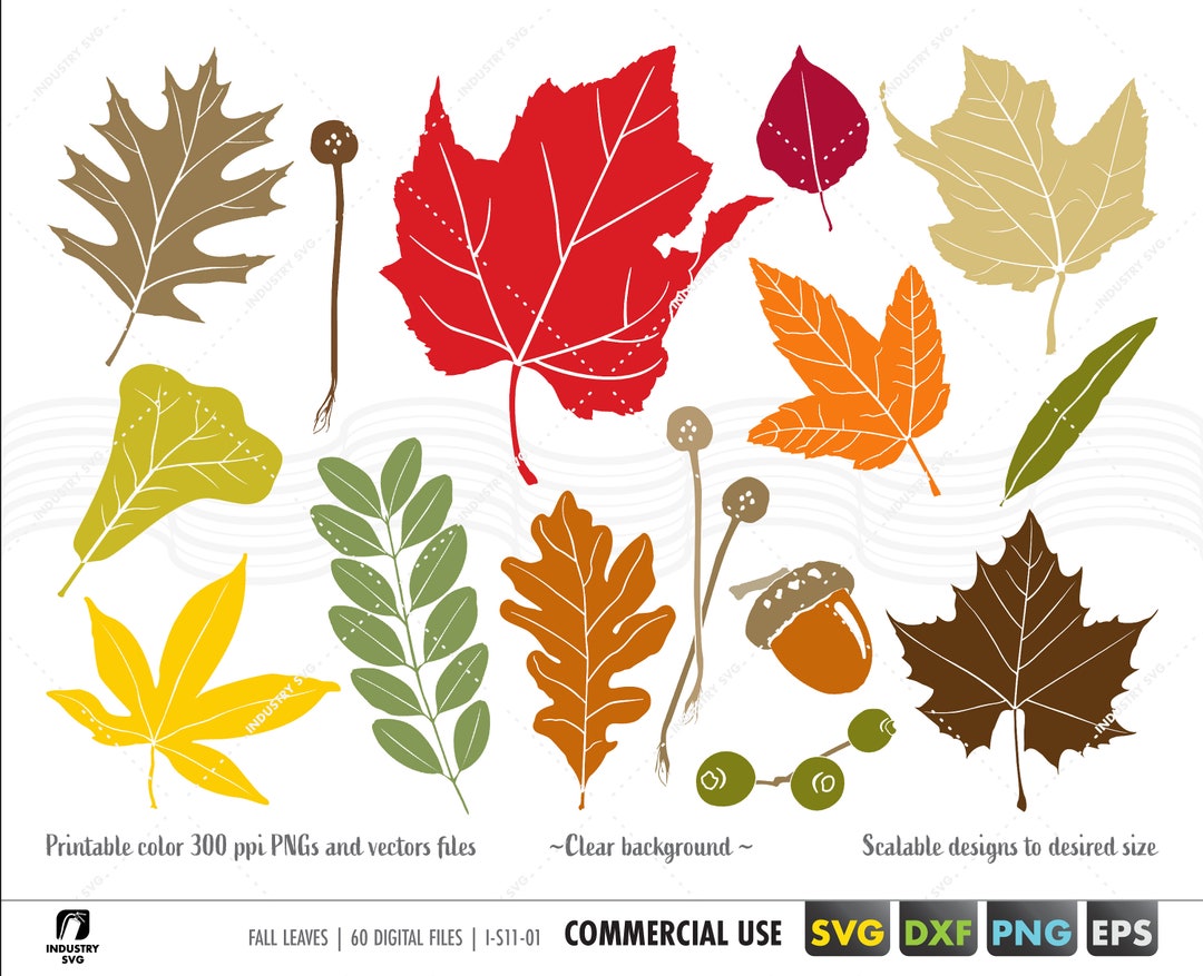 Fall Bundle Svg, Autum Bundle Svg, Thanksgiving Svg, Fall Autum Leaves ...