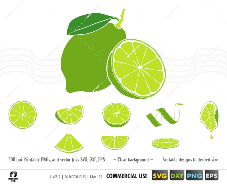 Lime Svg Bundle Svg Lime Slice Clipart Png Fruit Svg - Etsy