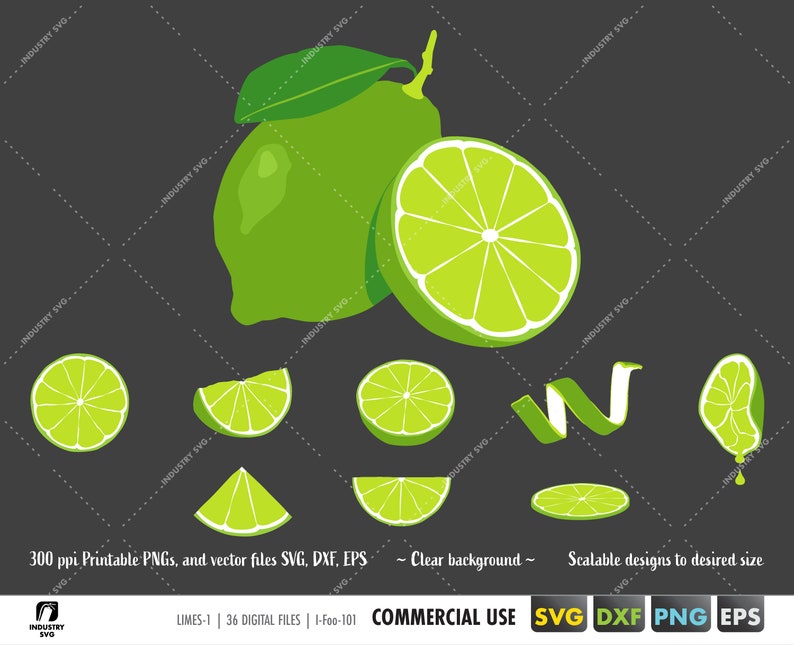 Lime Svg Bundle, Lime Slice Clipart Png, Fruit Svg, Lemonade Svg, Lime ...