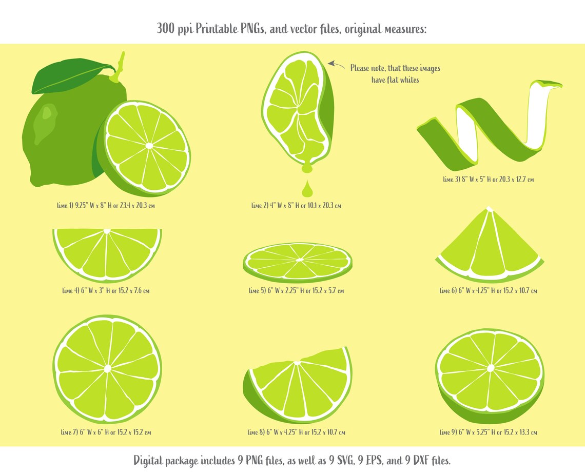 Lime Svg Bundle Lime Slice Clipart Png Fruit Svg Lemonade - Etsy