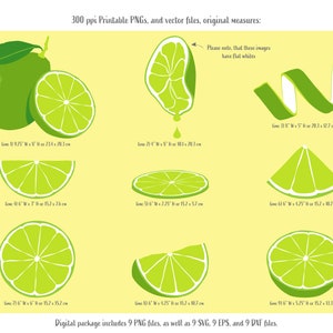 Lime Svg Bundle, Lime Slice Clipart Png, Fruit Svg, Lemonade Svg, Lime ...