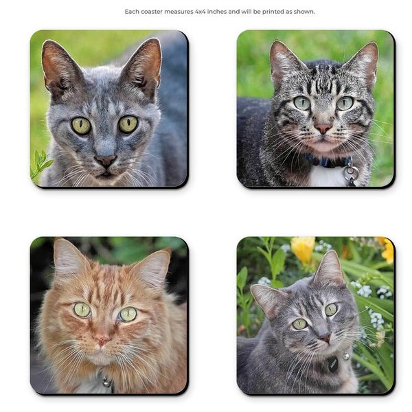 Cat Coaster - Etsy