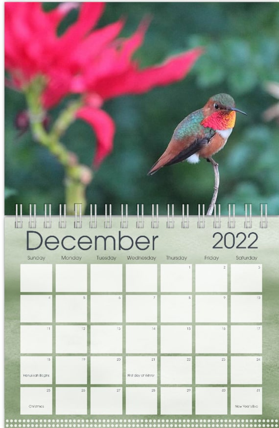 Paper Paper & Party Supplies Hummingbirds 2022 Wall Calendar etna.com.pe