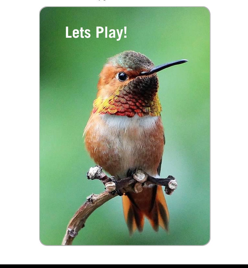 Deck Playing Cards, Hummingbird Photo, Clear Plastic Case for Storage ...