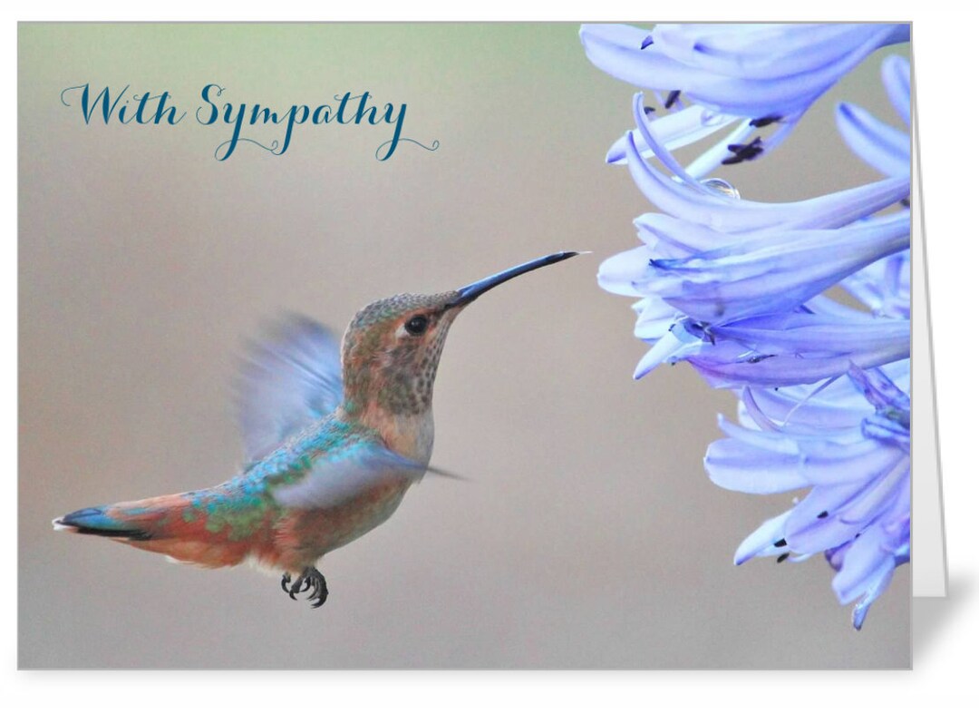 Sympathy Card 5x7 Hummingbird Photo - Etsy