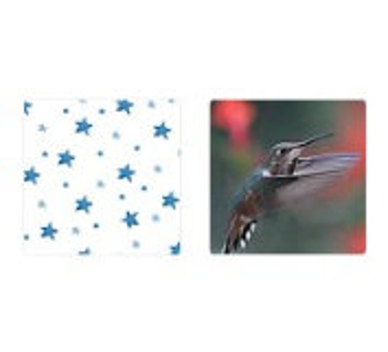 Memory Game, Choice of All Hummingbird or All Insect Photos, Each Game ...