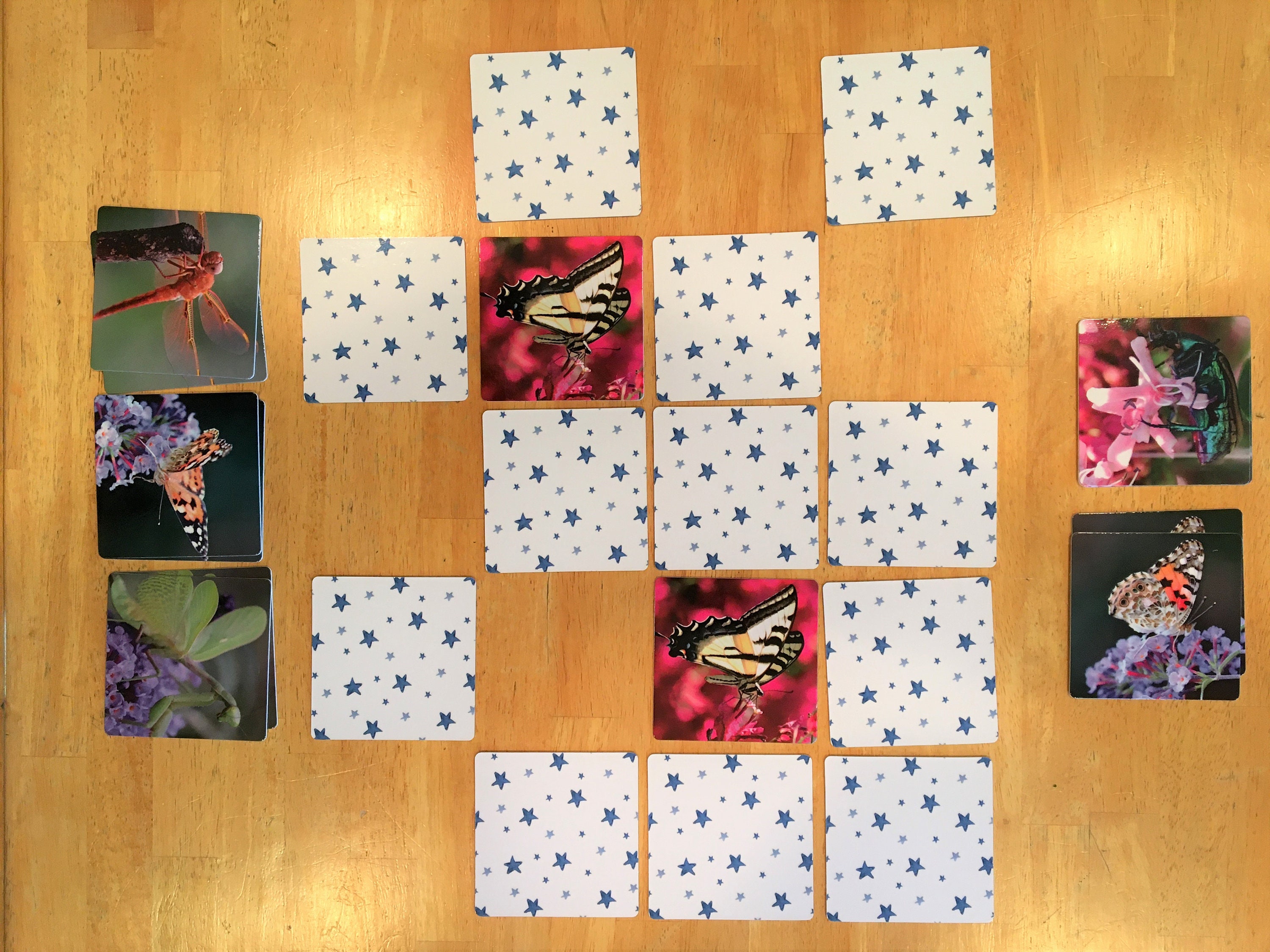 Memory Game, Choice of All Hummingbird or All Insect Photos, Each Game ...