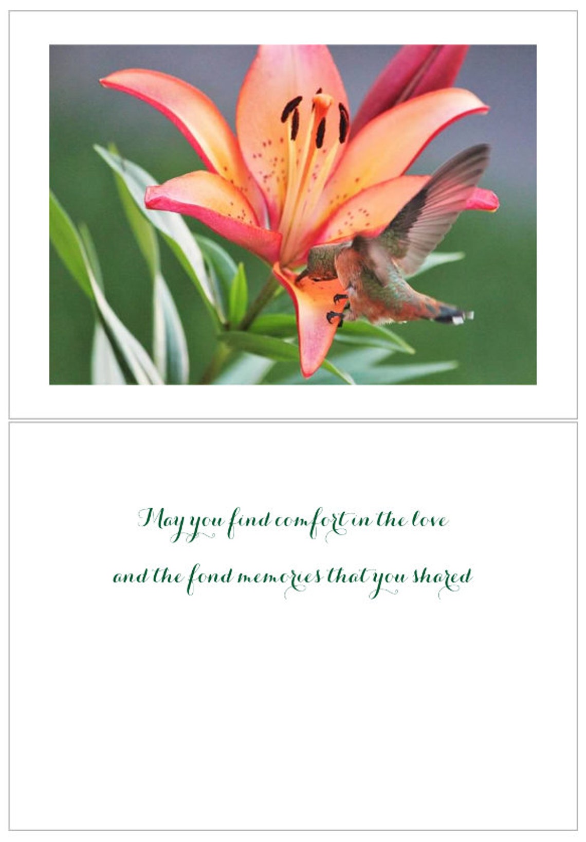 Sympathy Card 5x7 Hummingbird Photo - Etsy
