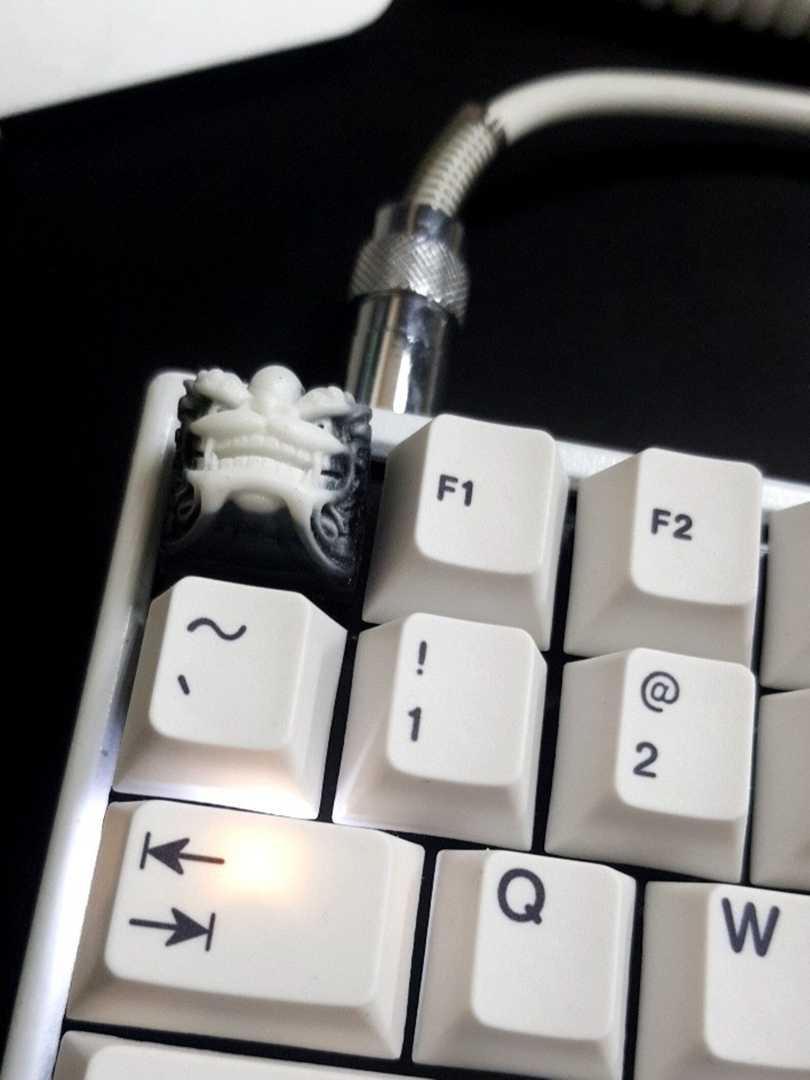 Handmade Lion Resin Artisan Keycap R4/ESC Key Cap OEM for All - Etsy