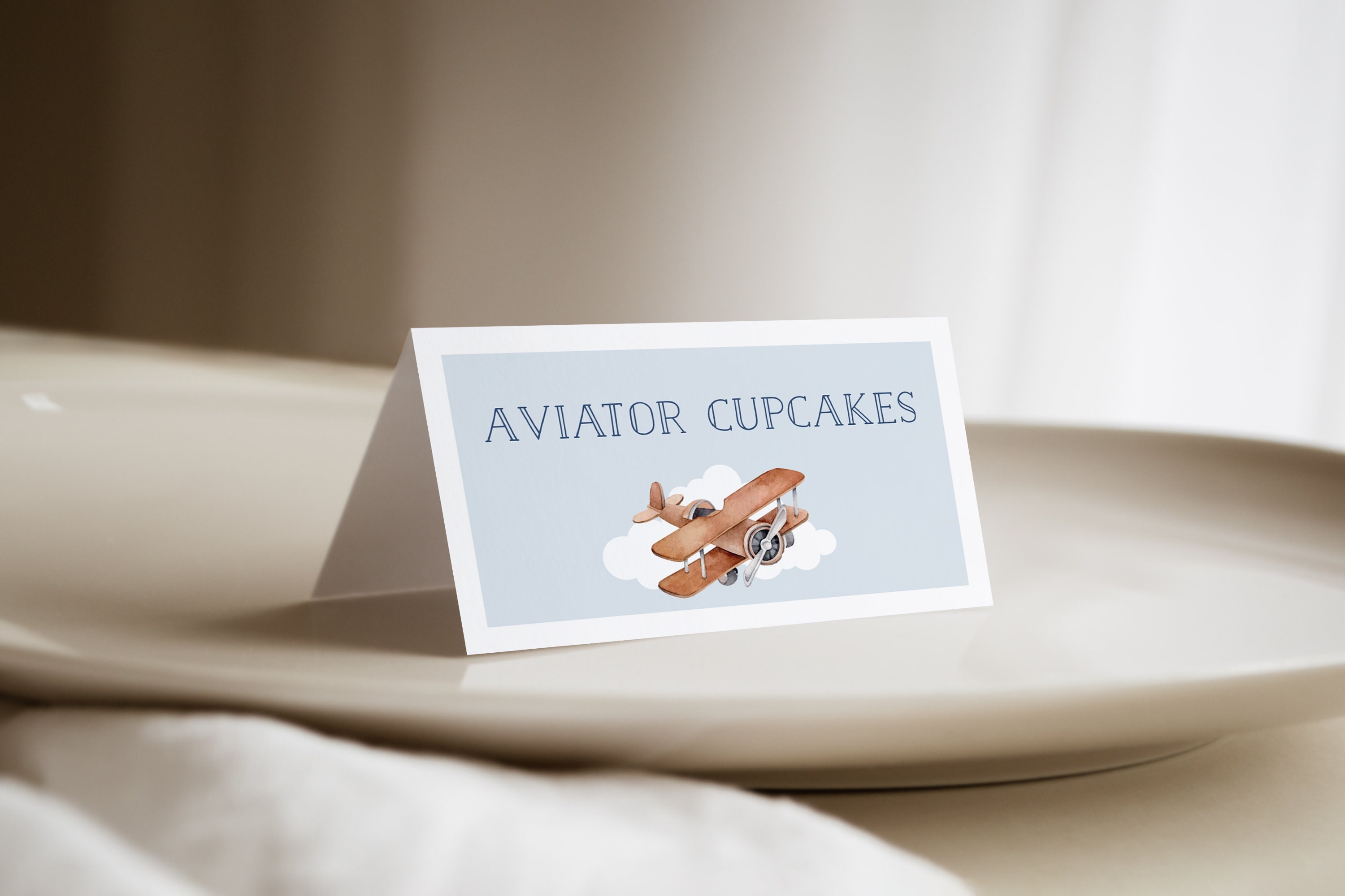 Airplane Birthday Table Sign Custom Aviation Theme Party Decor Modern ...