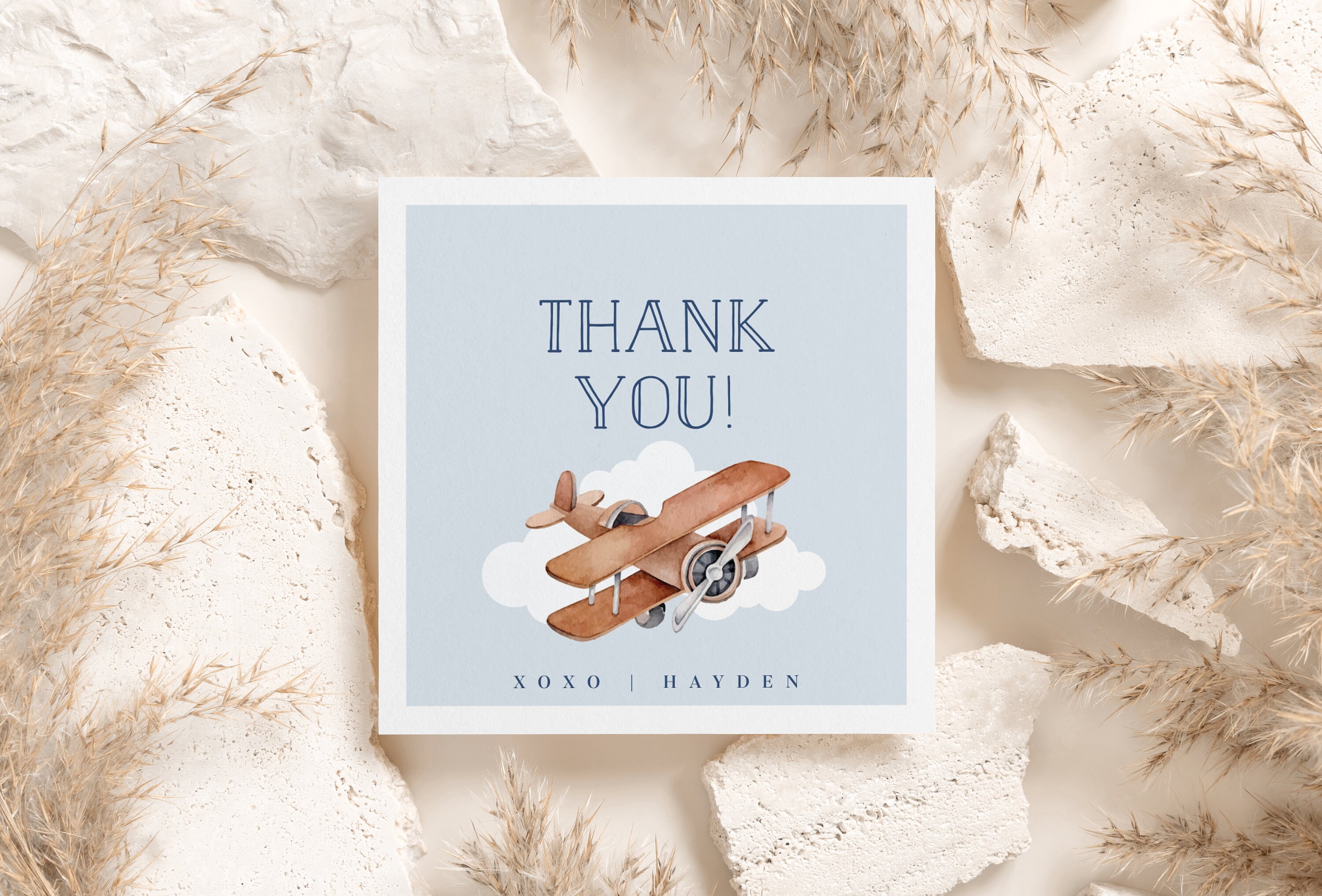 Airplane Birthday Favor Tags Template Personalized Aviation Theme Gift ...