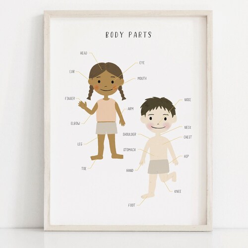 PRINTABLE Body Parts Poster for Kids My Body Preschool - Etsy UK