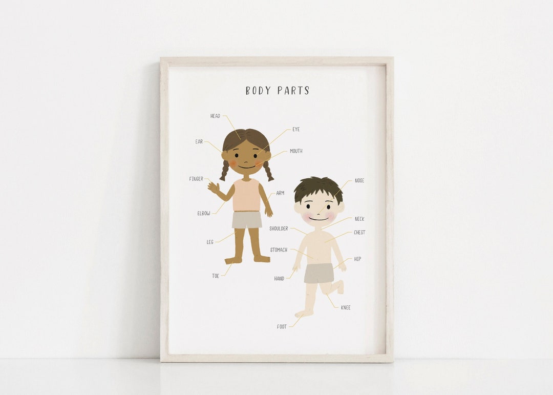 PRINTABLE Body Parts Poster for Kids, My Body Preschool Homeschool ...
