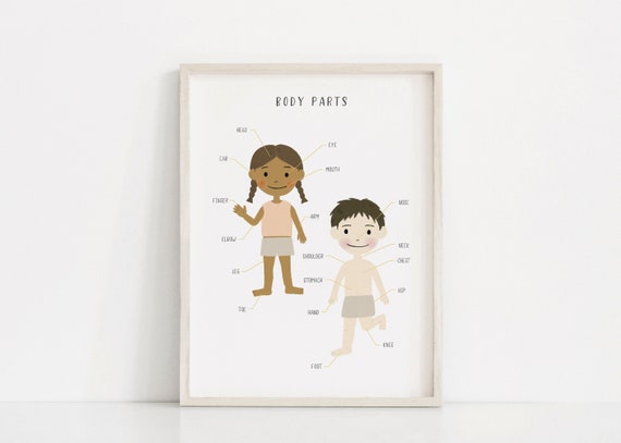 Human Body Parts Poster For Kids