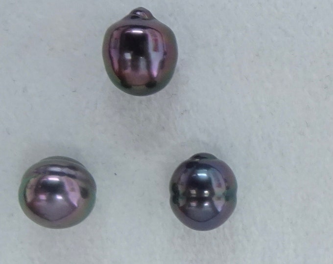 EGGPLANT PEACOCK COLORS, Tahitian Circle' Pearl 9mm-10mm, Excellent ...