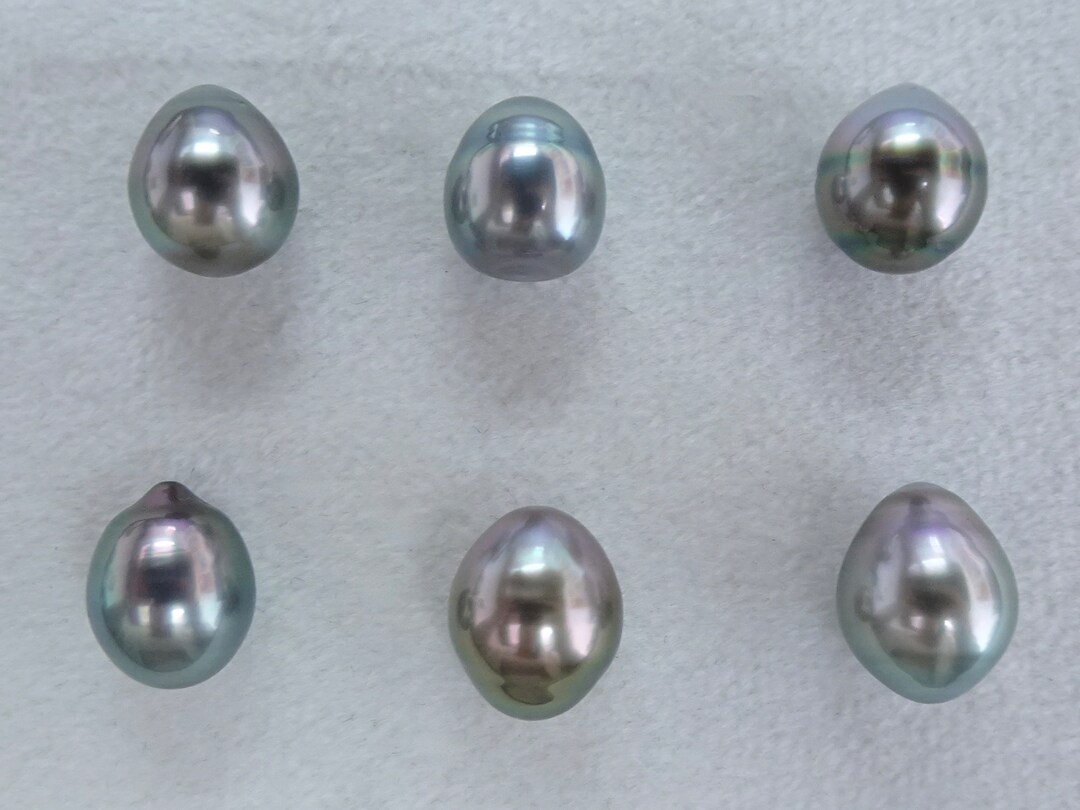 Pastel Egg-shape Tahitian Circle' Pearls 10mm-11mm, Excellent Luster ...