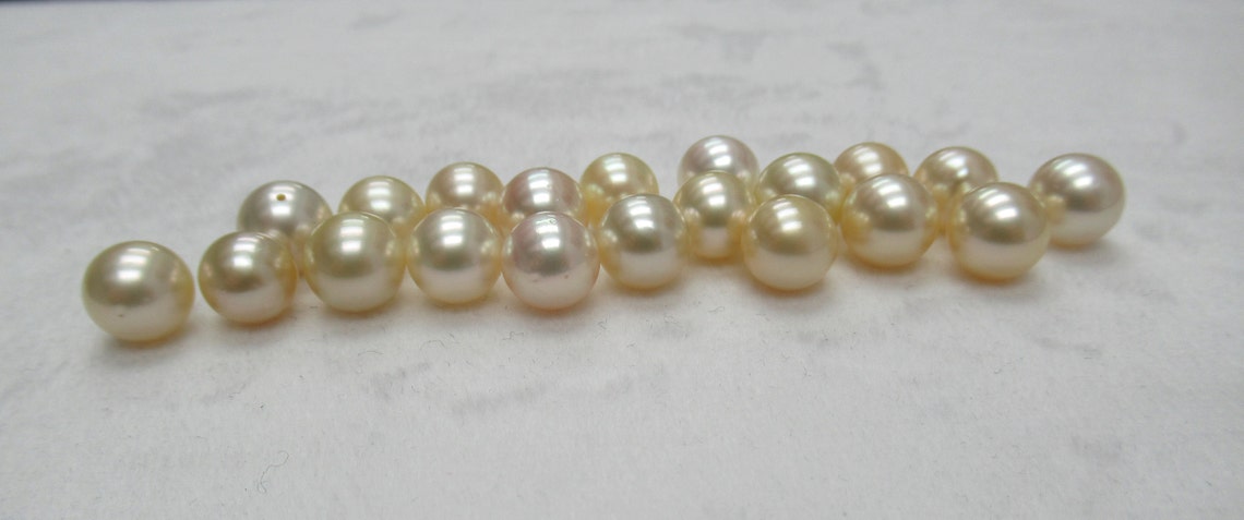 South Sea 9-10mm Champagne Pearls High Metallic Very Good | Etsy
