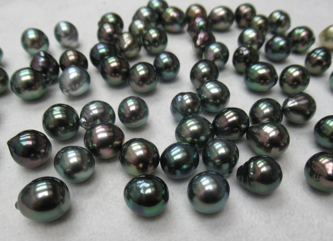 South Sea Tahitian Circle' Pearl Intense Natural Peacock - Etsy