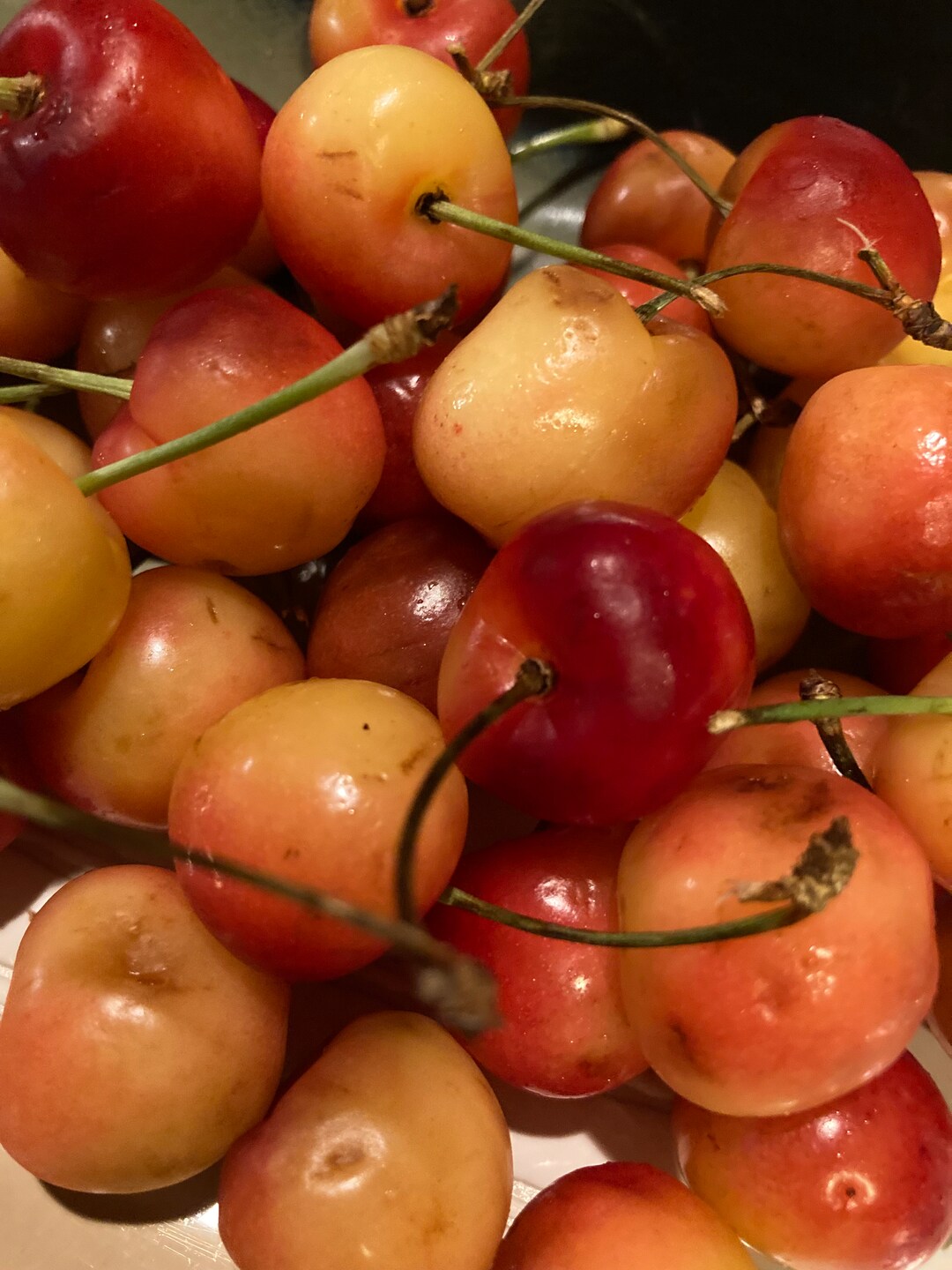 Rainer Cherry Seeds - Etsy