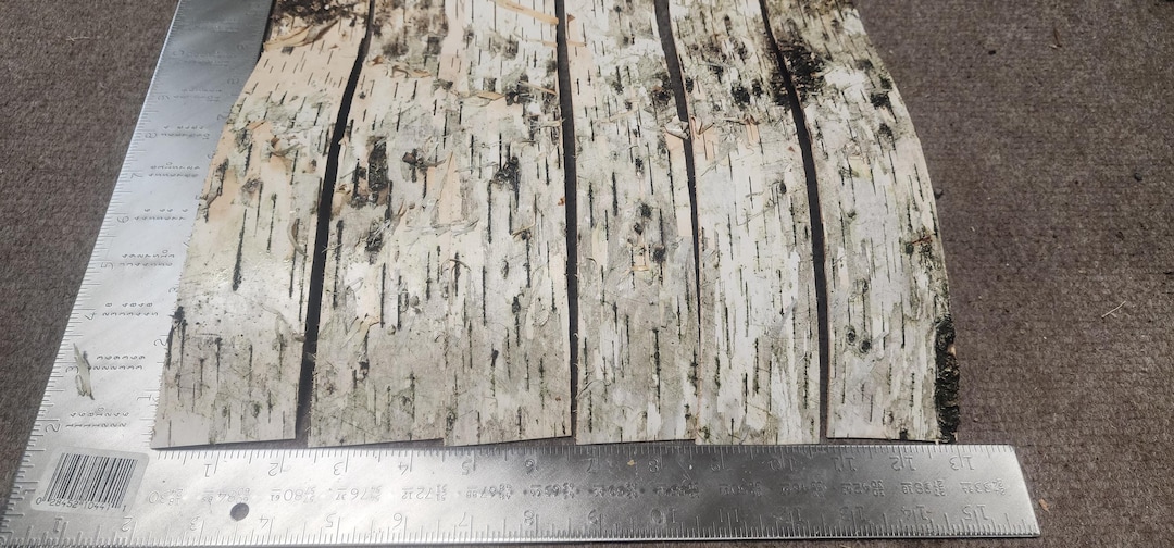Natural Birch Bark Strips - 2" X 14" - Rustic Craft Supply, Knife ...