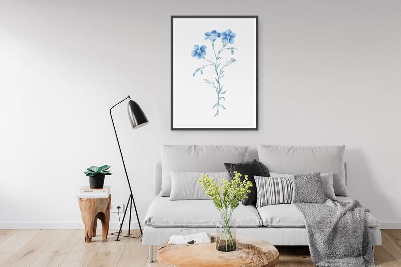 Blue Cornflower Print Botanical Print Botanical Flower - Etsy