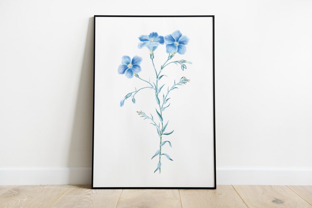 Blue Cornflower Print, Botanical Print, Botanical Flower Print, Wall ...