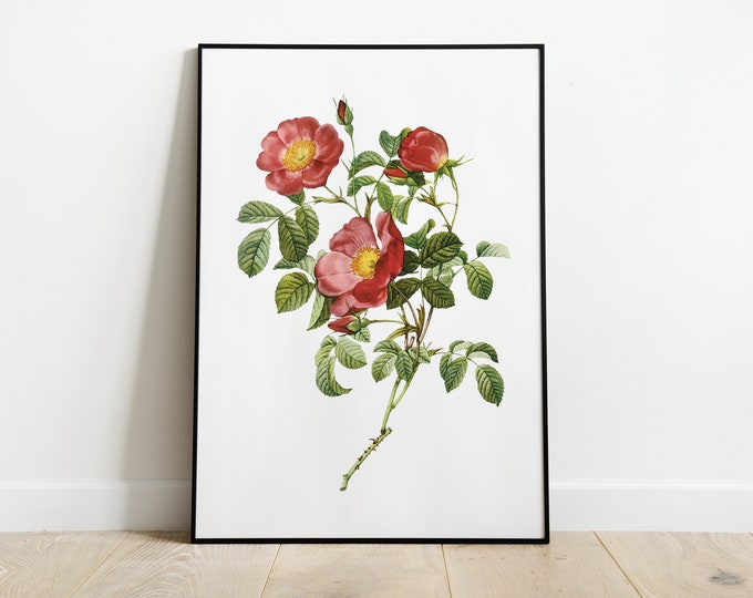 Yellow Rose Print Botanical Print Botanical Flower Print | Etsy