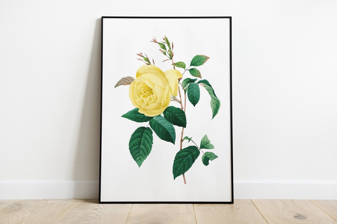 Yellow Rose Print Botanical Print Botanical Flower Print - Etsy
