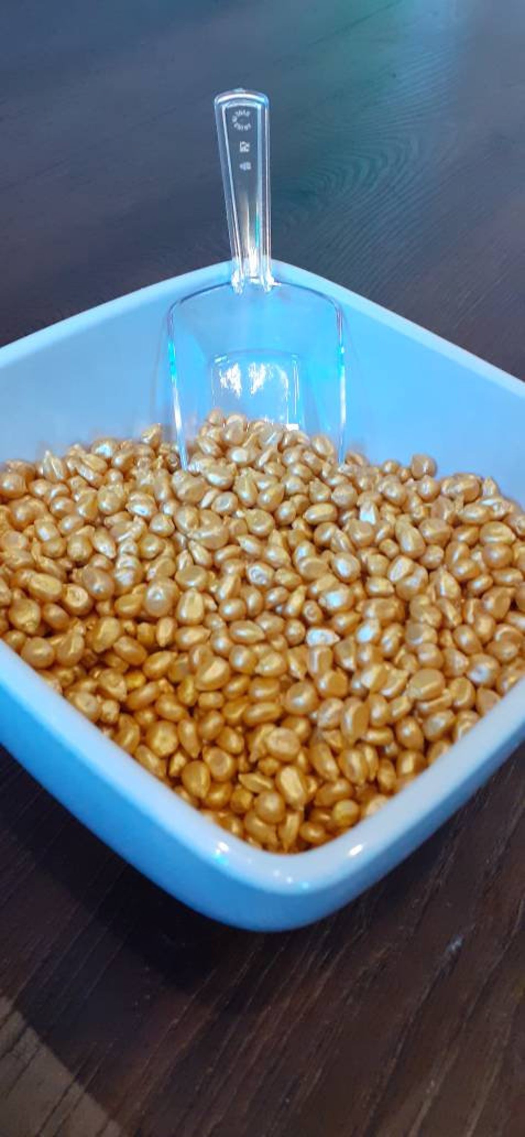 Gold Popcorn Kernels Messy Play Tuff Tray Resources - Etsy