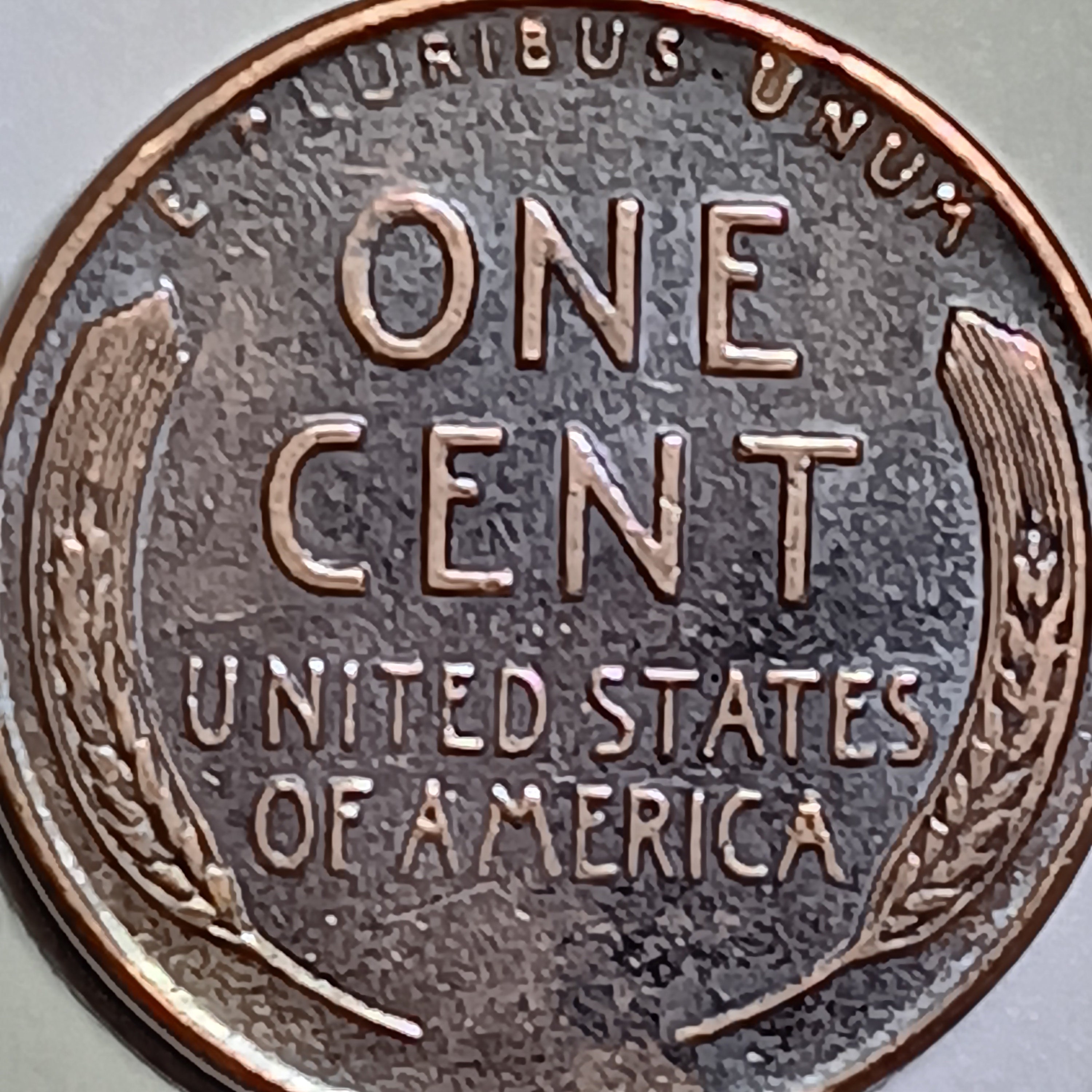 1956 D Lincoln Wheat DDO. - Etsy