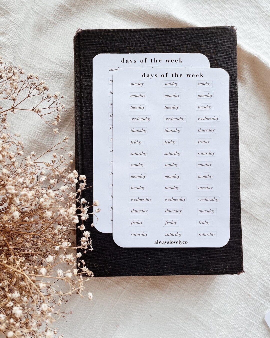 Days of the Week Sticker Sheet - Etsy