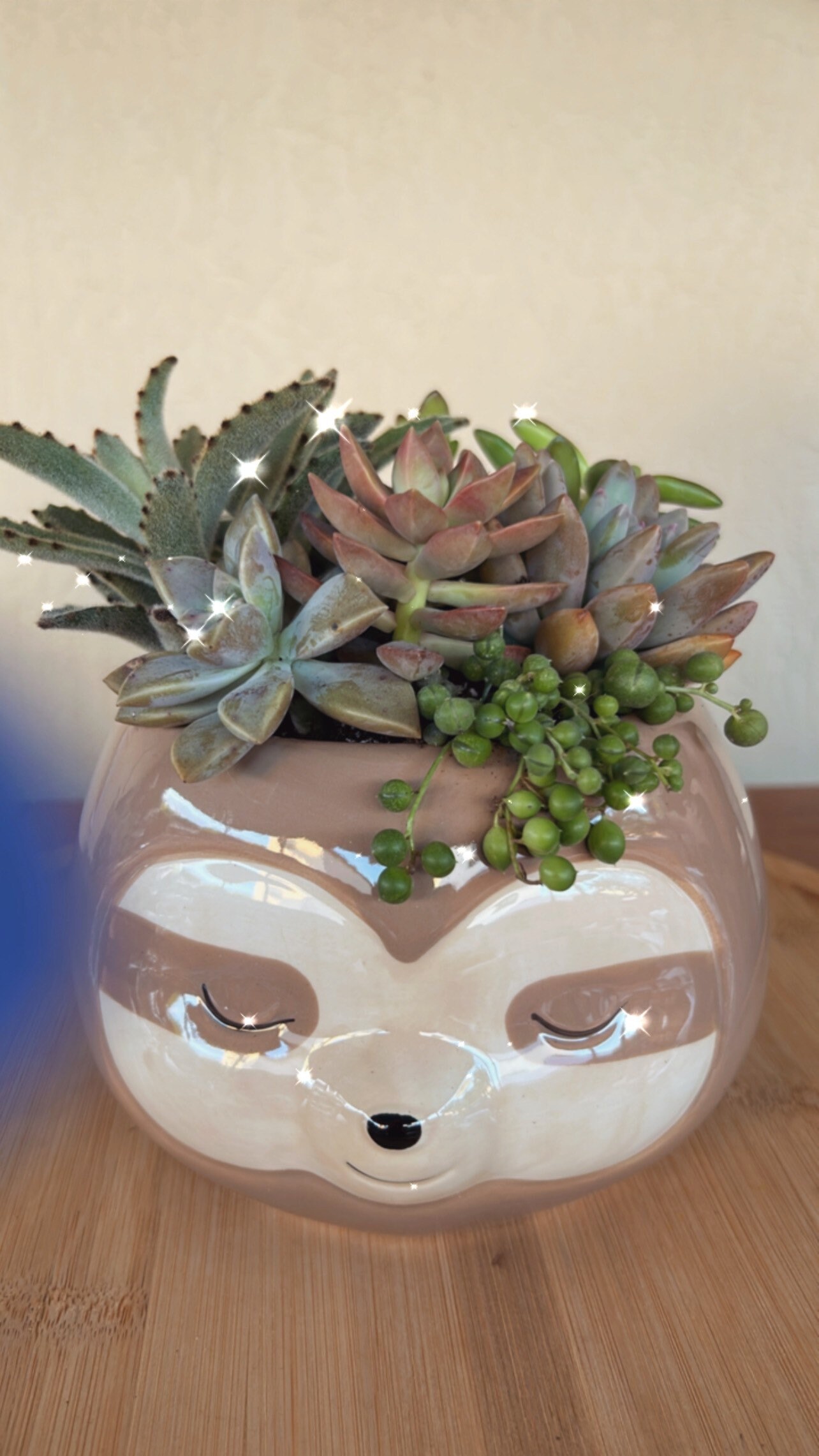 Large Sloth Ceramic Planter - Etsy