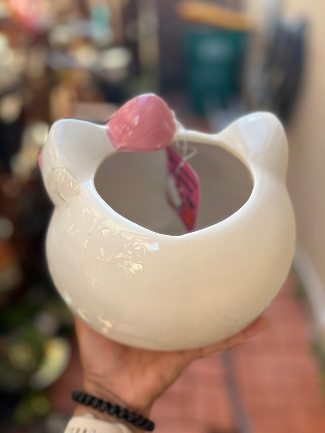 Hello Kitty Planter Succulents & Plants Succulent Arrangement - Etsy