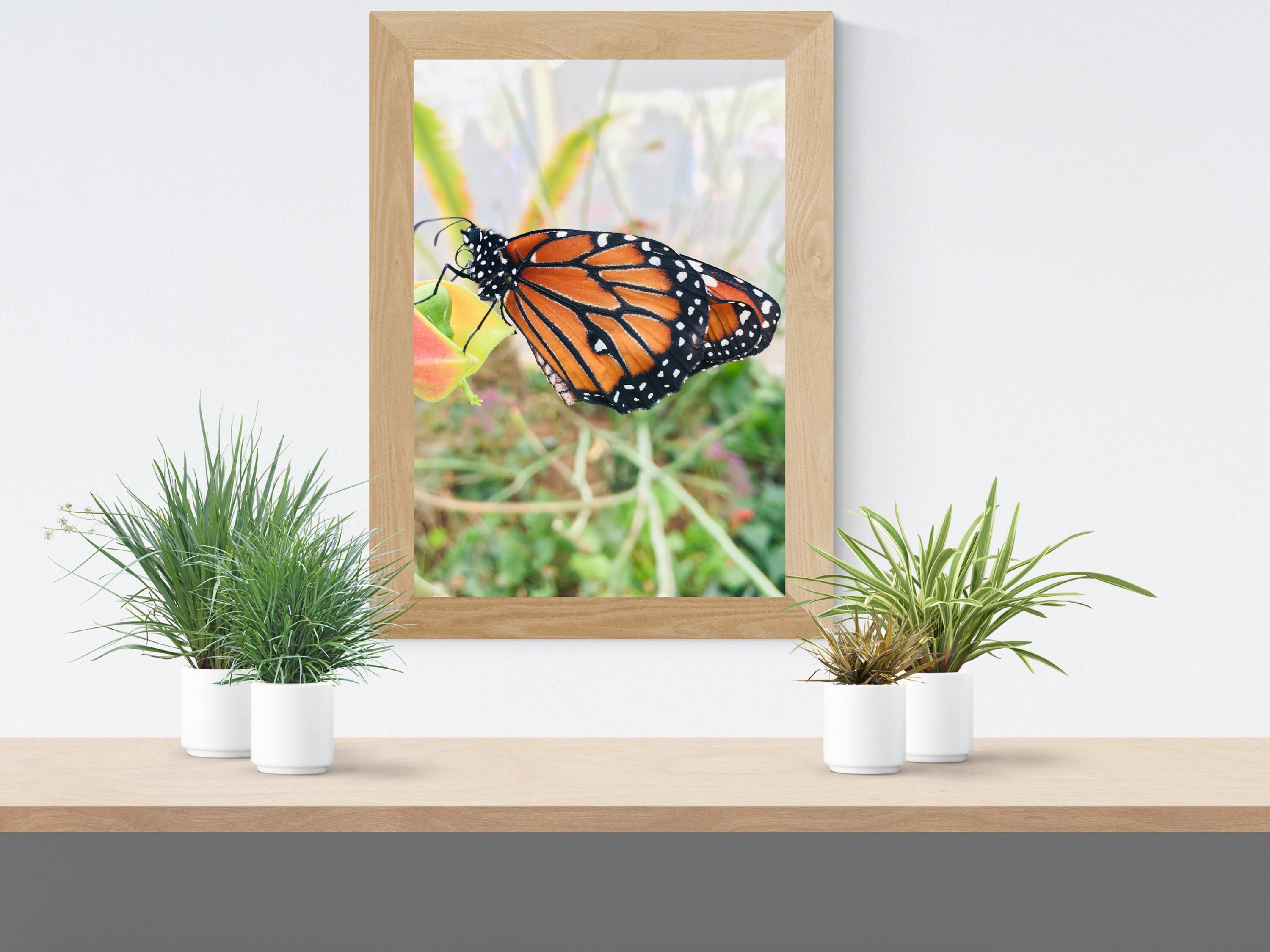Butterfly Digital Download Printable Wall Art - Etsy
