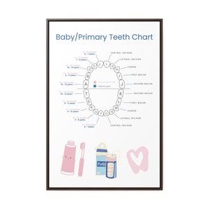 Kids Teeth Chart Poster for Dental Office - Etsy