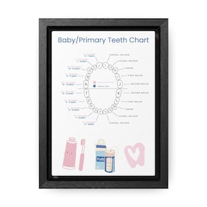 Kids Teeth Chart Poster for Dental Office - Etsy