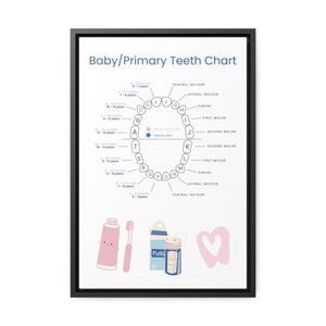 Kids Teeth Chart Poster for Dental Office - Etsy