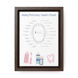 Kids Teeth Chart Poster for Dental Office - Etsy