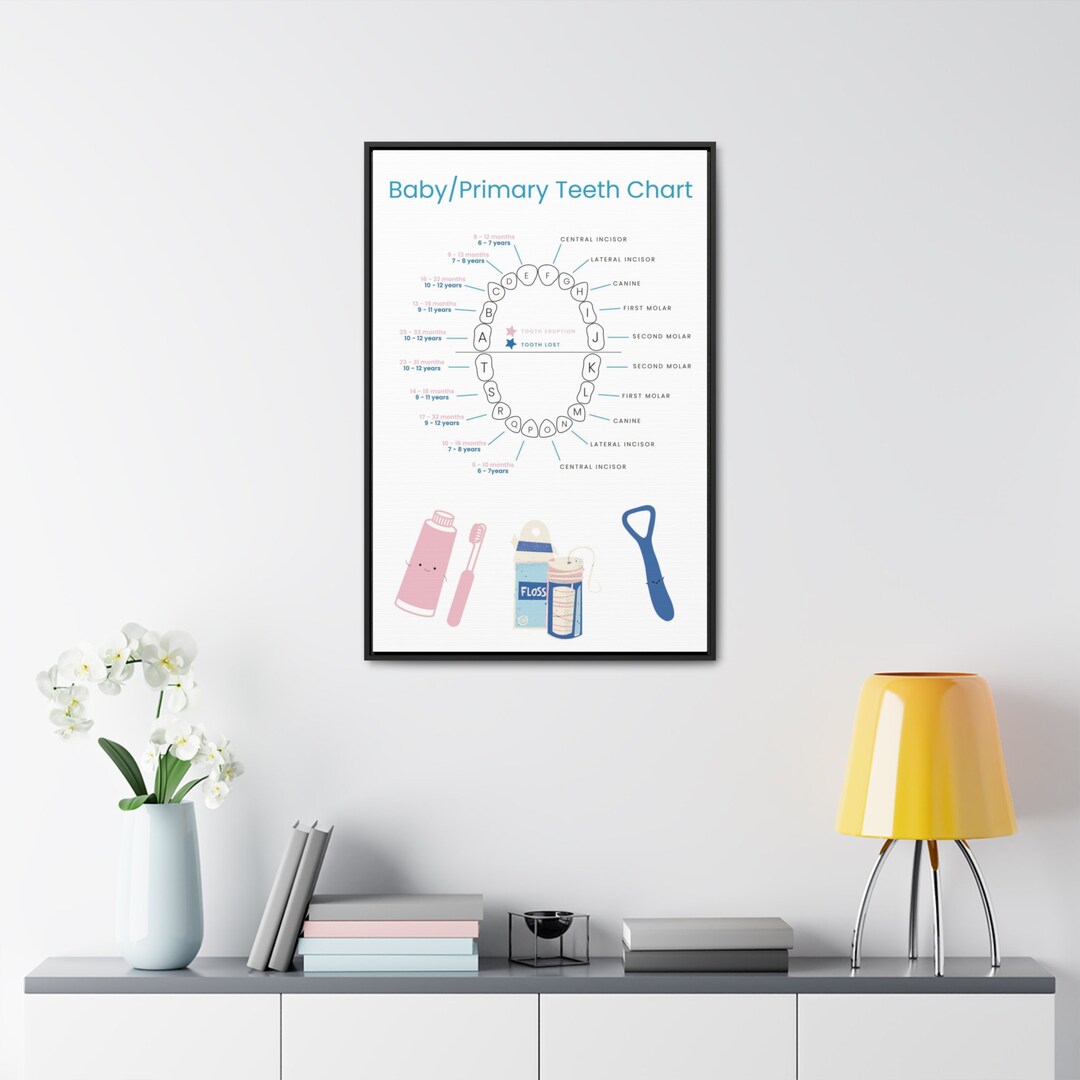 Teeth Chart for Pediatric Dental Office - Etsy