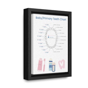 Kids Teeth Chart Poster for Dental Office - Etsy