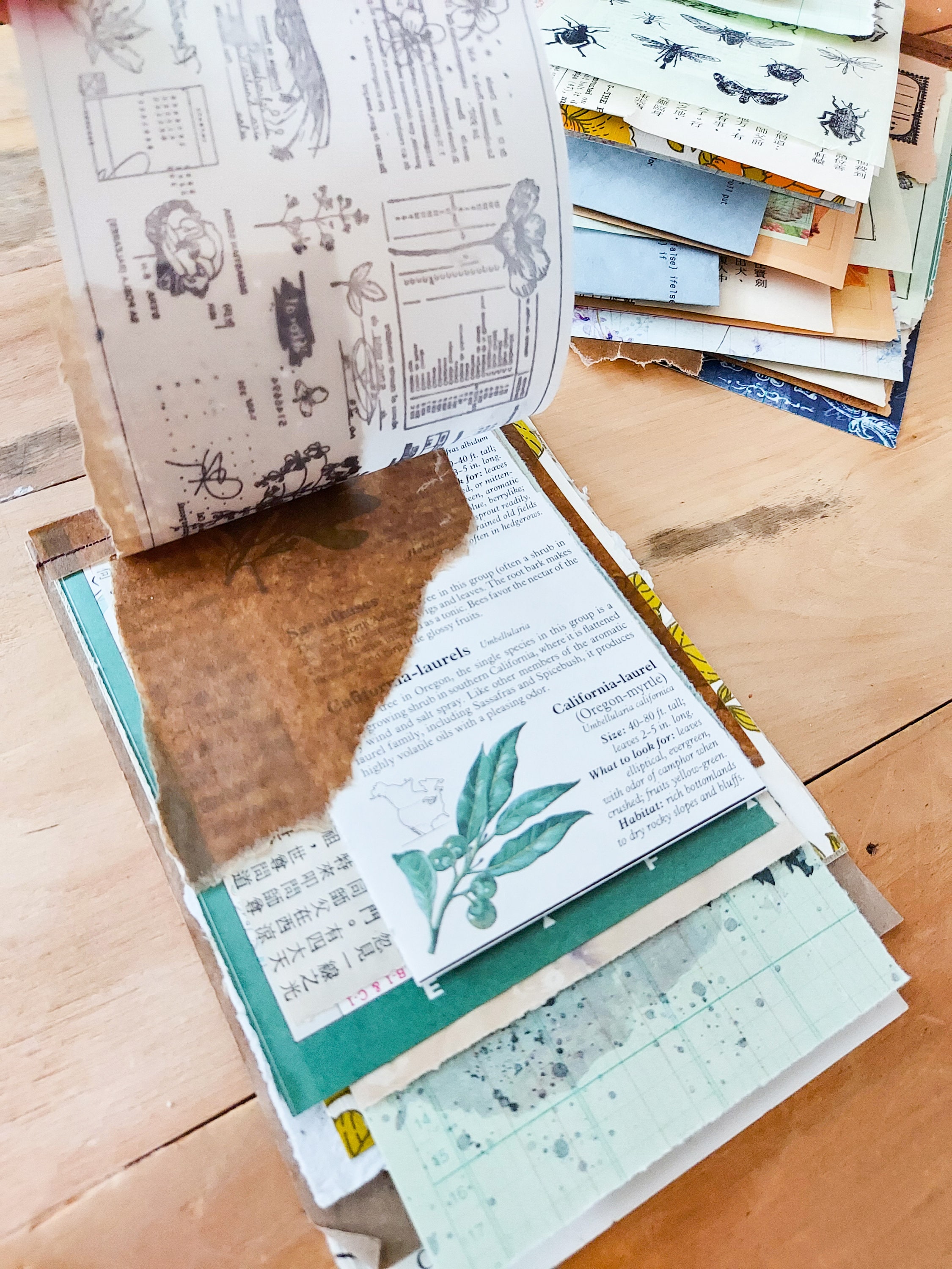 5x7 Sampler Scrap Pad - Mixed Ephemera Papers for Collaging, Junk ...
