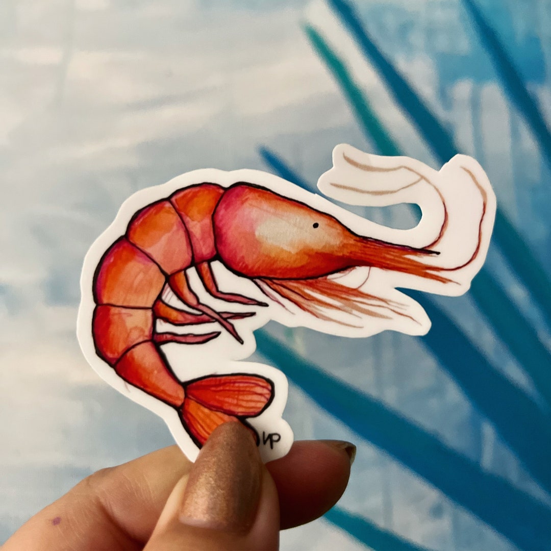 Bright Red Shrimp Vinyl Sticker Art | Waterproof Handmade Shrimp Decal ...