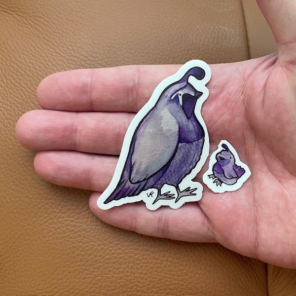 Quail Stickers - Etsy
