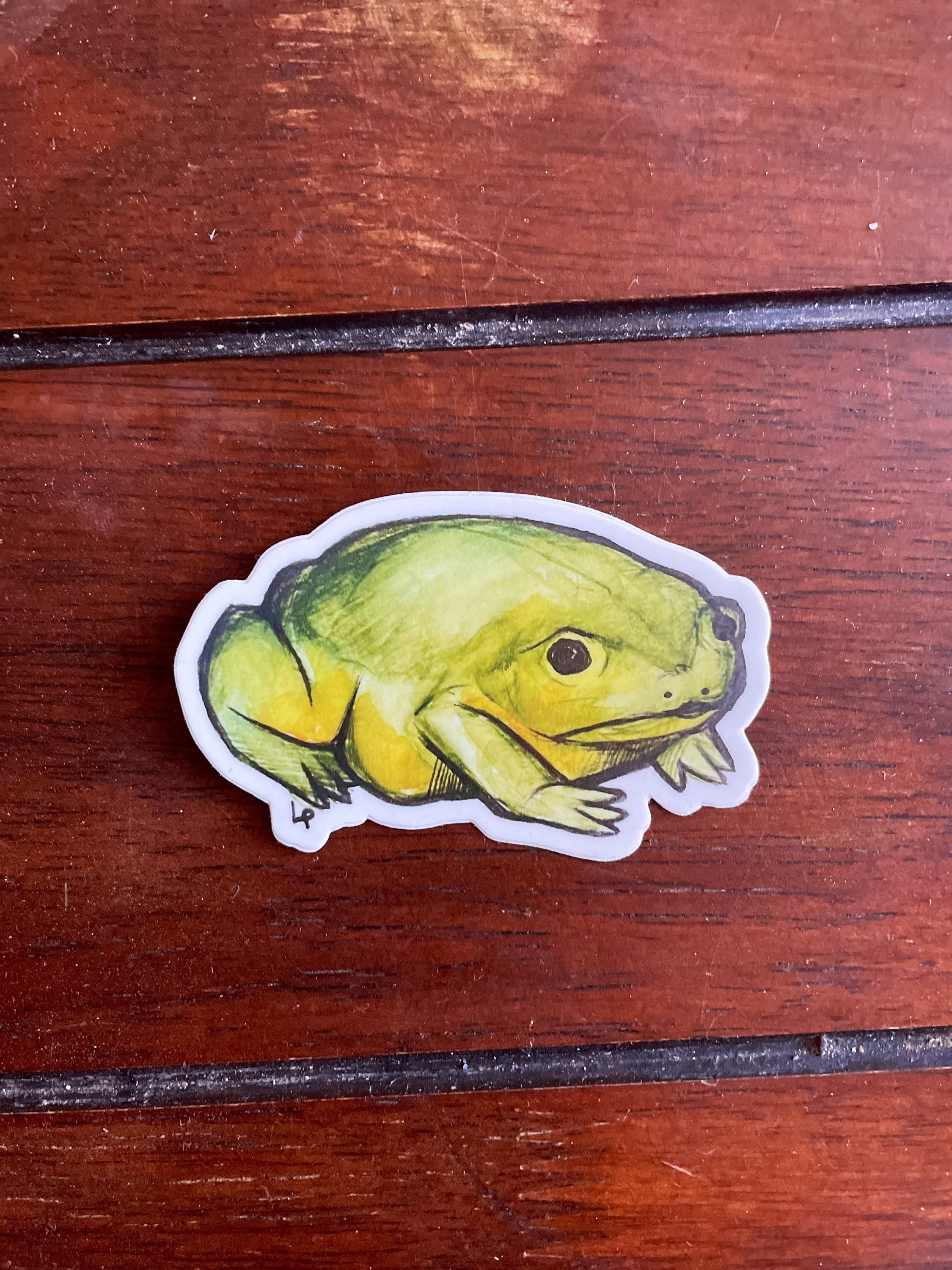 Sonoran Desert Toad Vinyl Sticker Art Decals of Desert Roads - Etsy