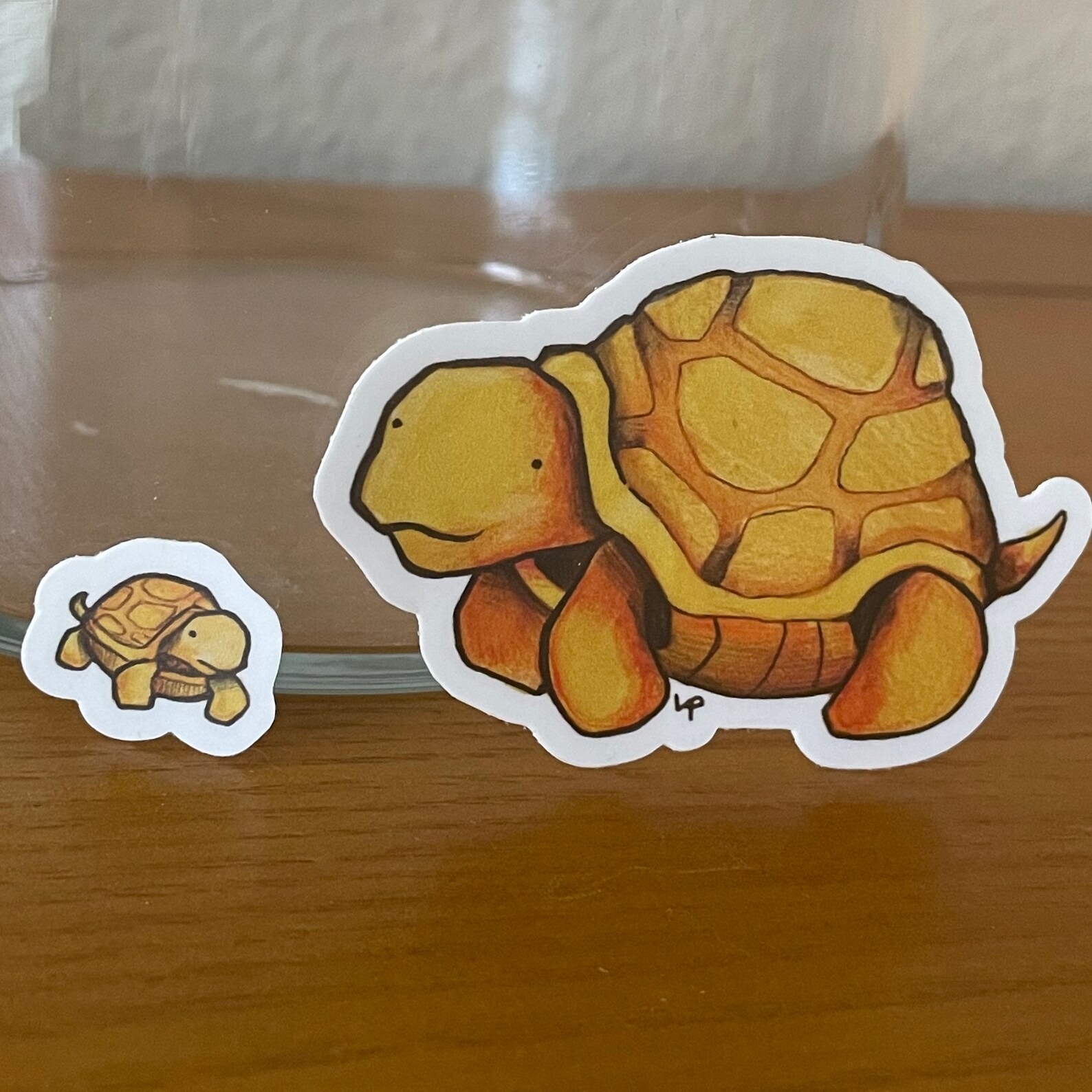 Desert Tortoise Baby Vinyl Sticker Must Lover Tortoises | Etsy