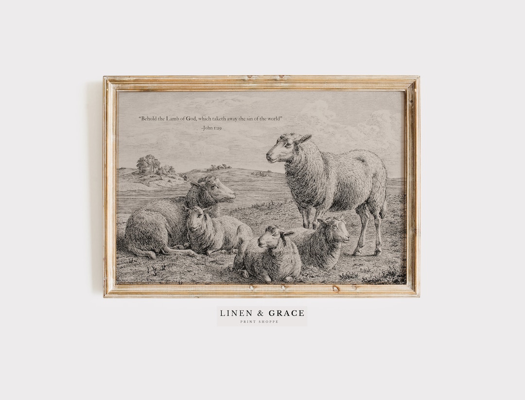 Vintage Christmas Art / Behold, the Lamb of God Sketch / John 1:29 ...