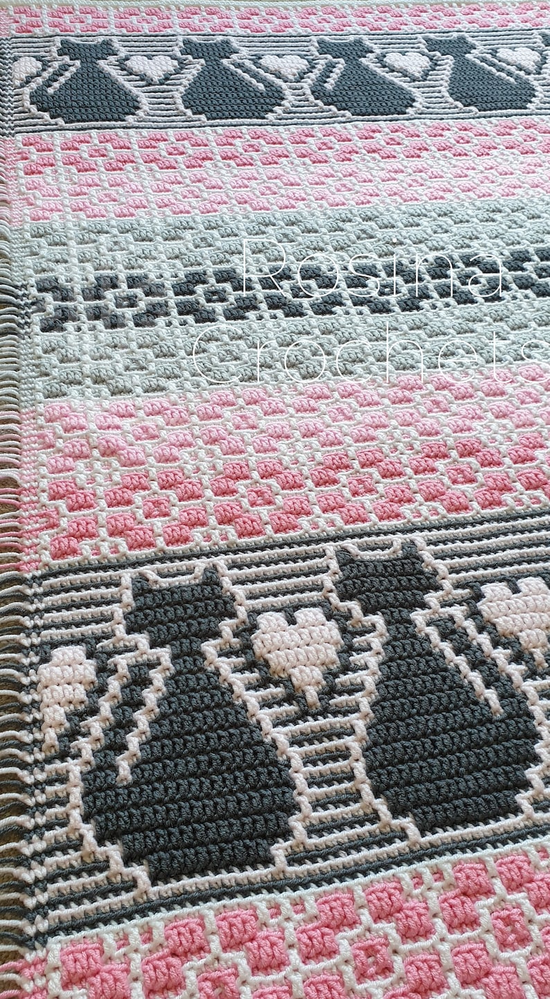 Meow Overlay Mosaic Crochet Pattern Only - Etsy Australia