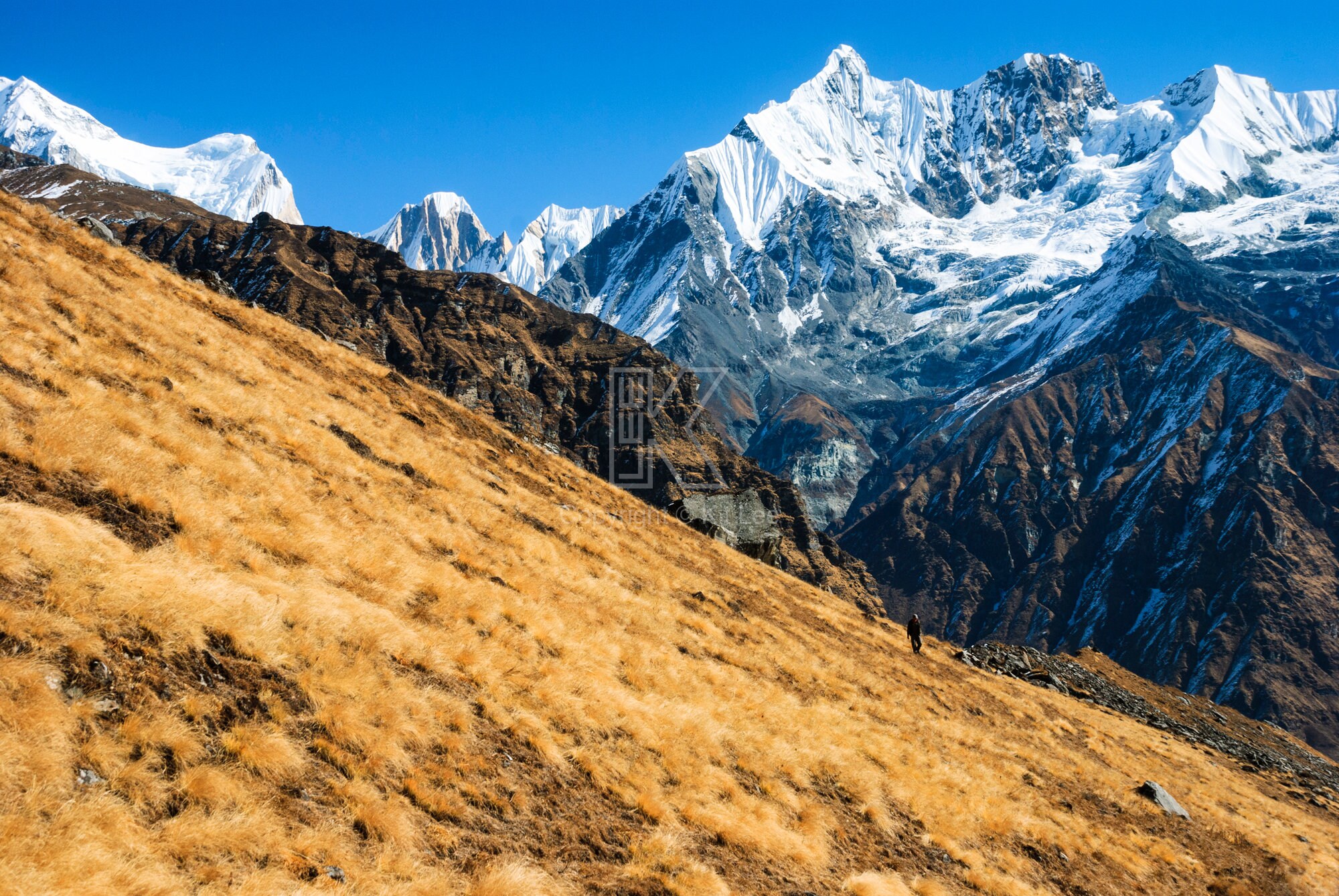 ABC Trek | A Scene Taken at Annapurna Base Camp Trek, Nepal ...