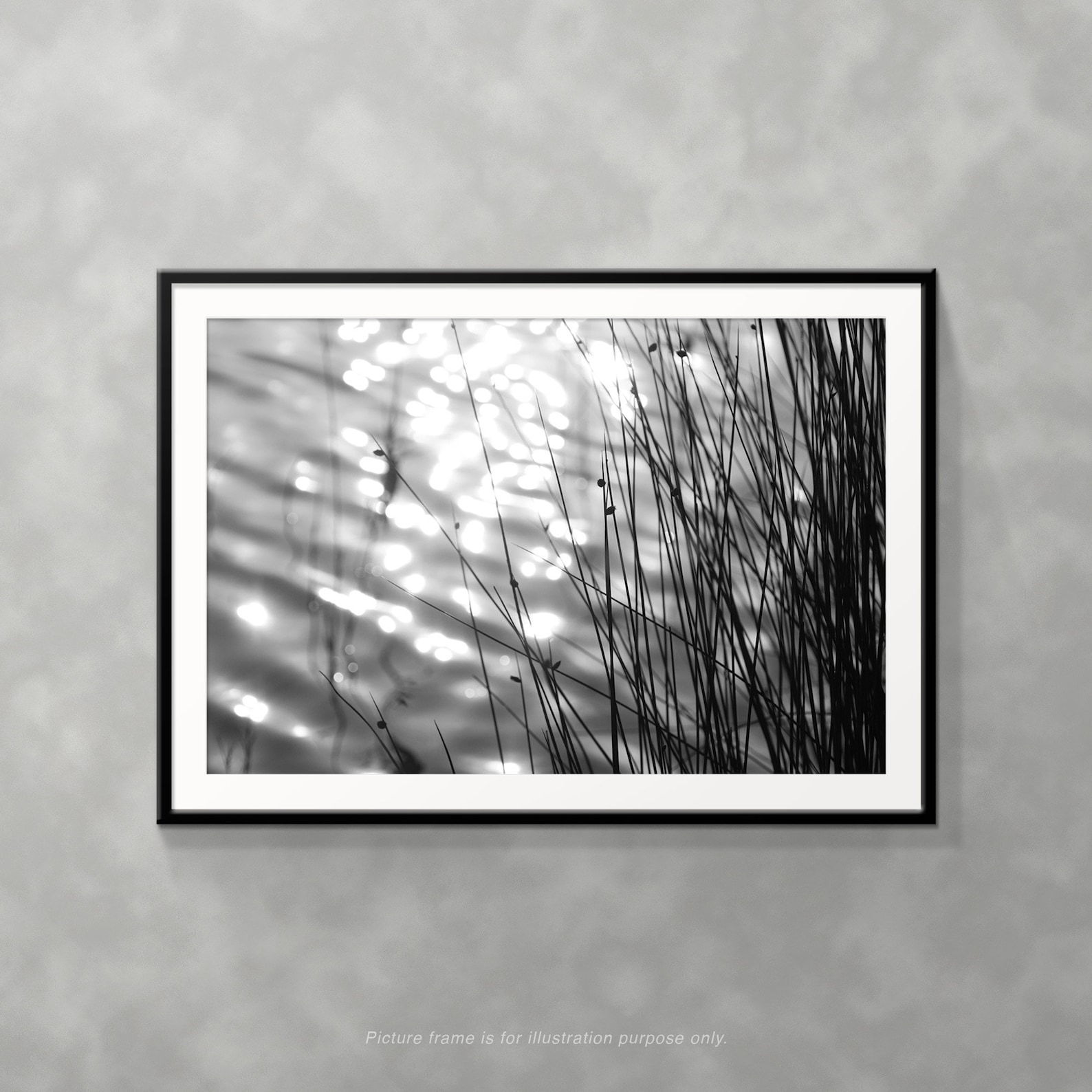 Wetland | Silhouette of Wetland Water Plants Against Light Reflection ...